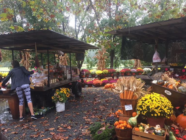'Haskell's' Chadds Ford farm stand closing permanently after 40 years ...