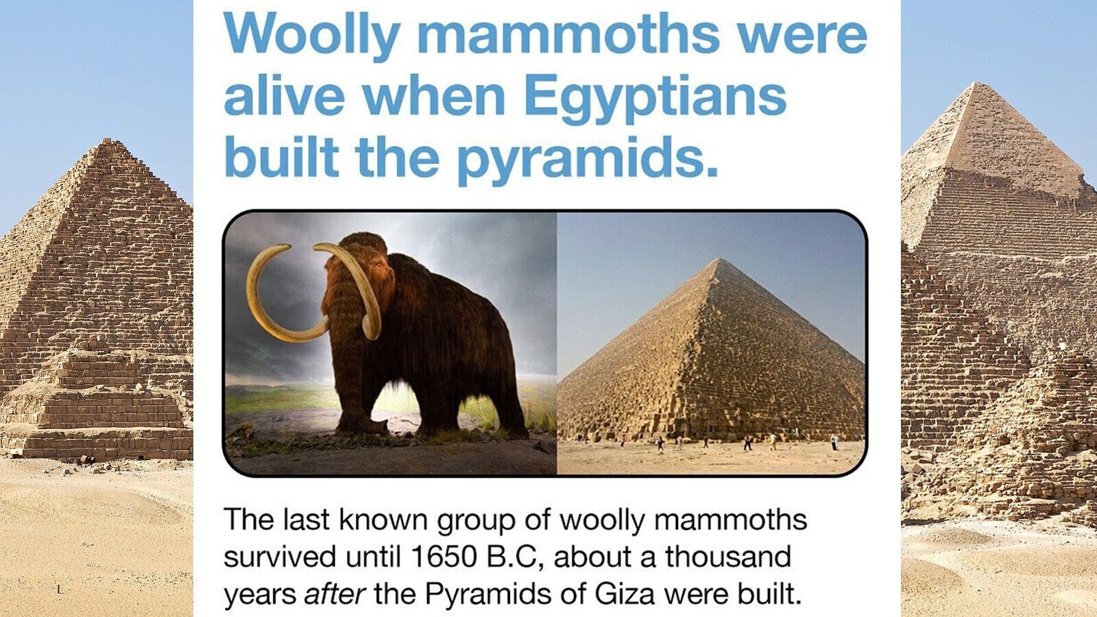 8 Historical Trivia Tidbits That Really Put History In Perspective For Us