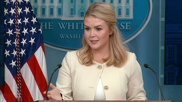 White House reveals what Trump and Zelensky spoke about on hour-long call