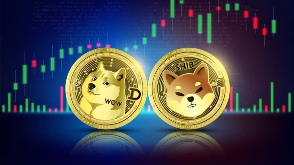Floki, Dogecoin, Shiba Inu Lead In Meme Coin Holder Profitability As ...