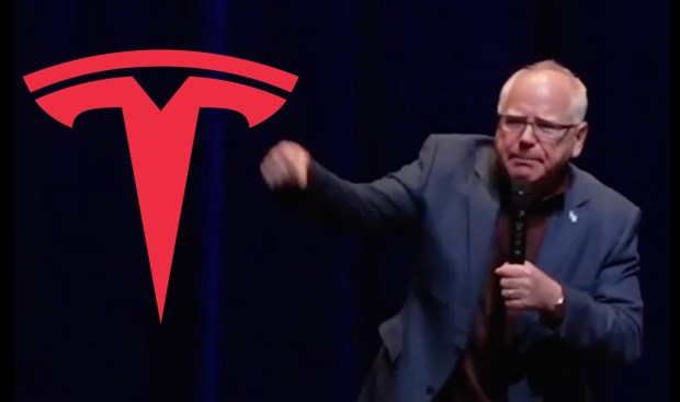Tim Walz Openly Roots Against Tesla Stock, Watches It Fall to 'Give Me ...