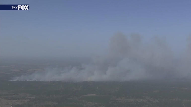 Pauline Road Fire: More than 2,300 acres burned in San Jacinto County ...