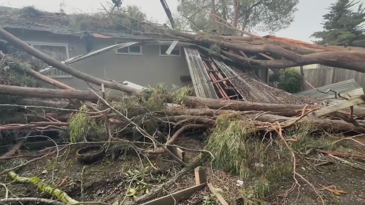 Storm-damaged tree destroys North Bay home, trapping resident