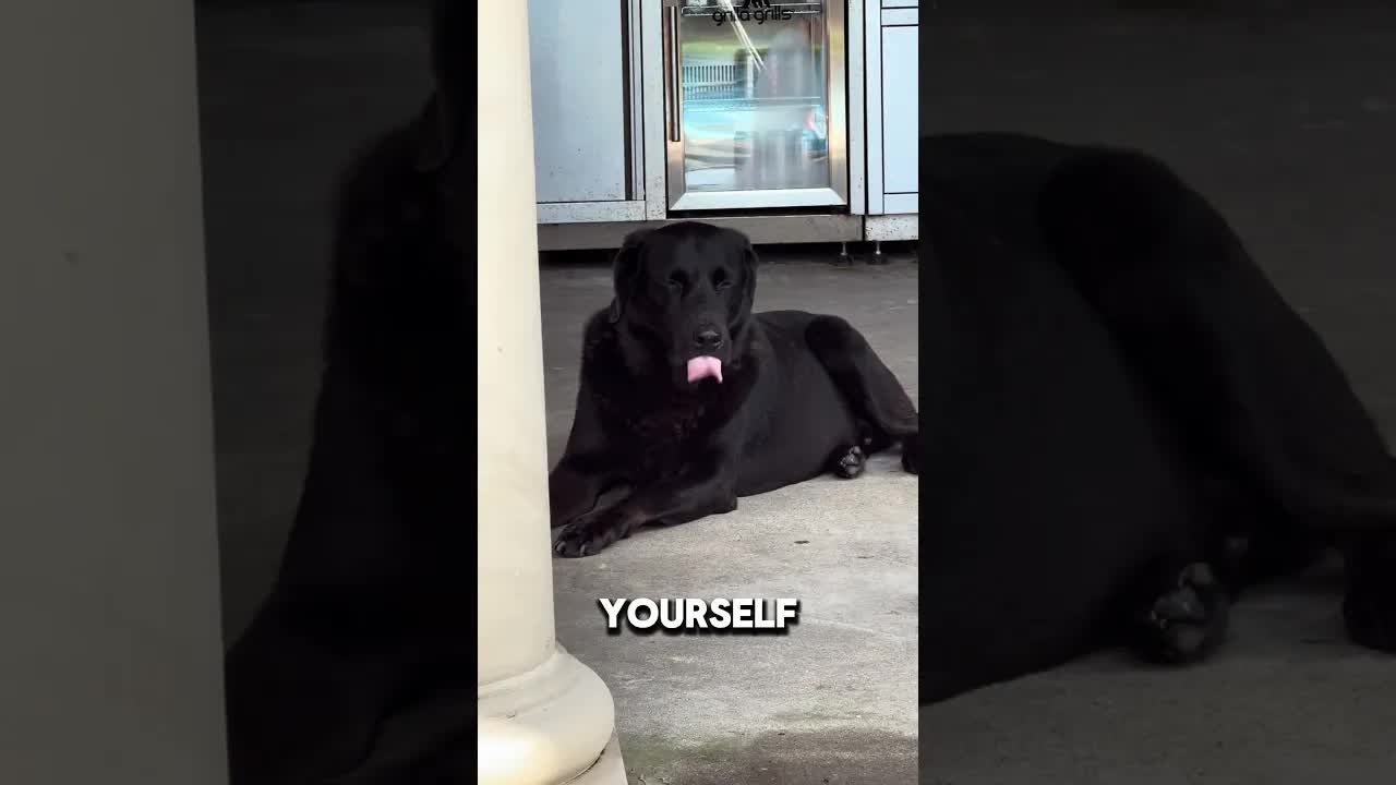 Pool Day Discovery: Finding a Dead Mole!