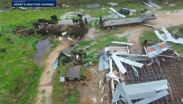 LIVE: Rep. Terri Sewell surveying Gordo tornado damage alongside ...