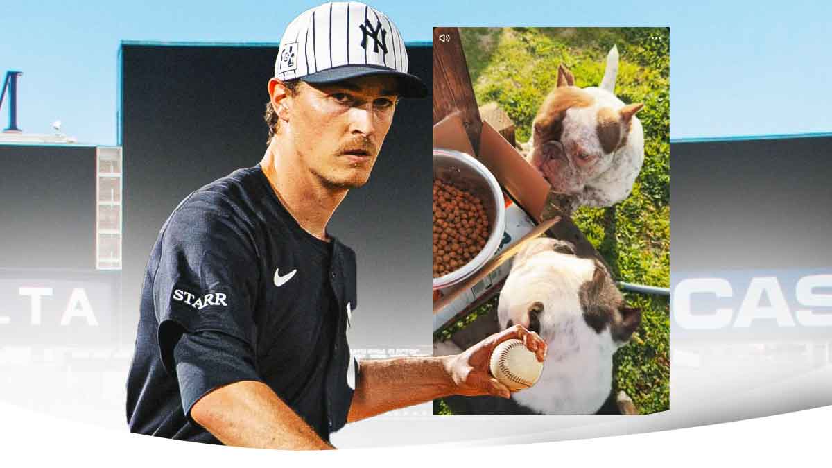 Max Fried reveals his dog ‘Apollo Fried’ isn’t actually named after Rocky