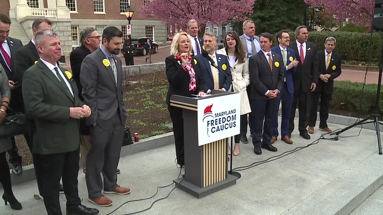 Republicans host 'tax revolt'