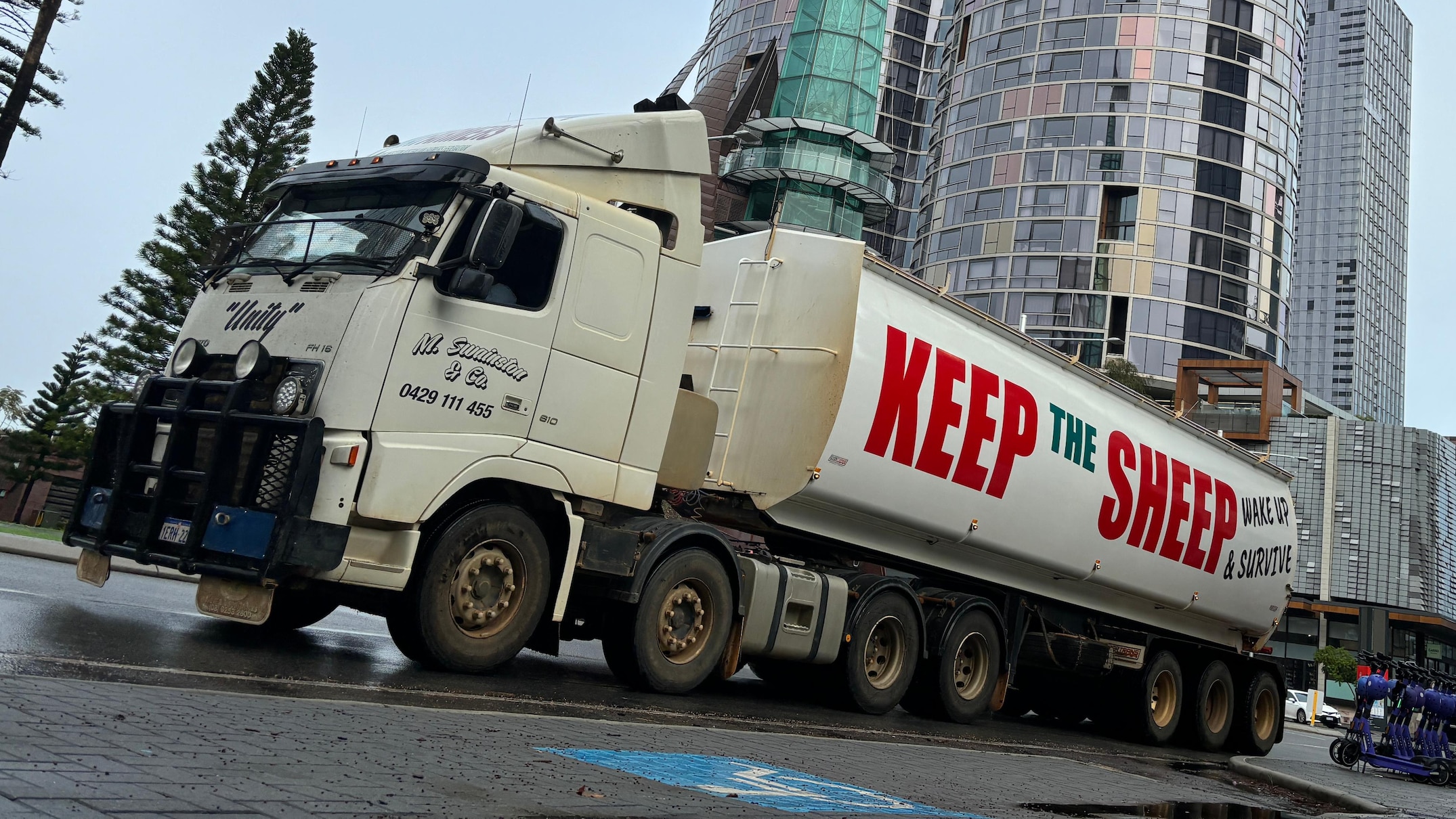 WA government probes school computer block on live export campaign websites