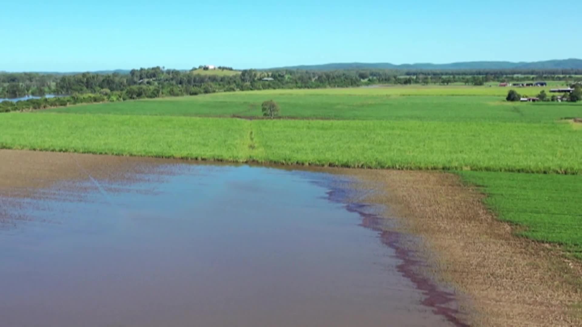 NSW farmers assessing damage after ex-tropical cyclone Alfred