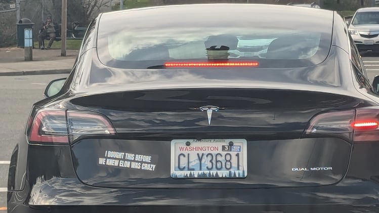 'Bought this before we knew Elon was crazy': Tesla owner's clever ...