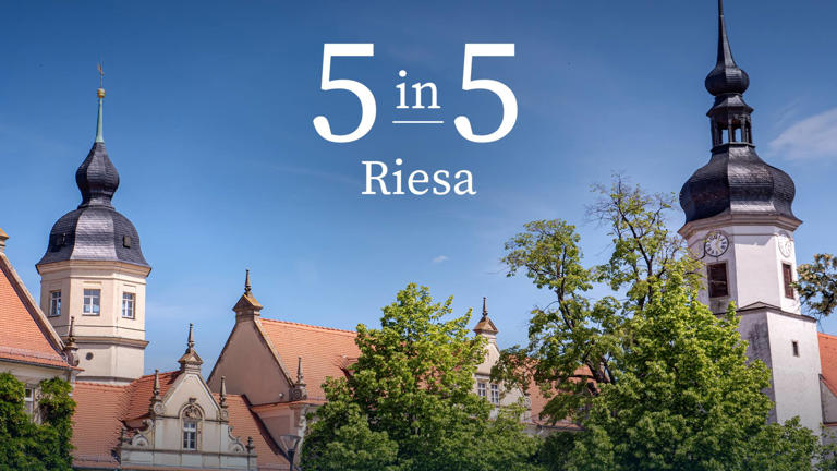 Hafen-Chef im Stadtrat + Überraschung beim Fasching + Start für neue ...