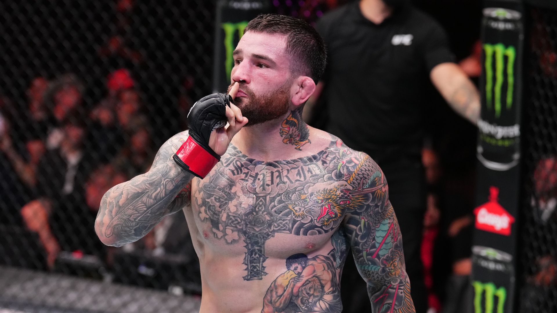 UFC London Odds, Props, Parlays & Picks