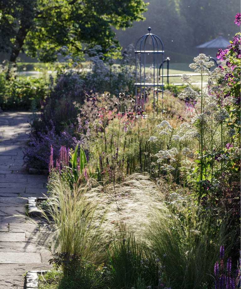 Pest experts warn why you should never squash ants in your home – and ...