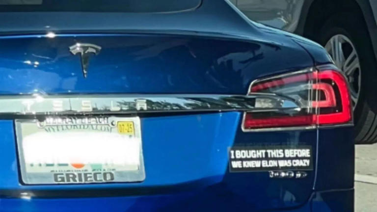 Elon Musk's Tesla faces severe backlash: Owners paste quirky stickers ...