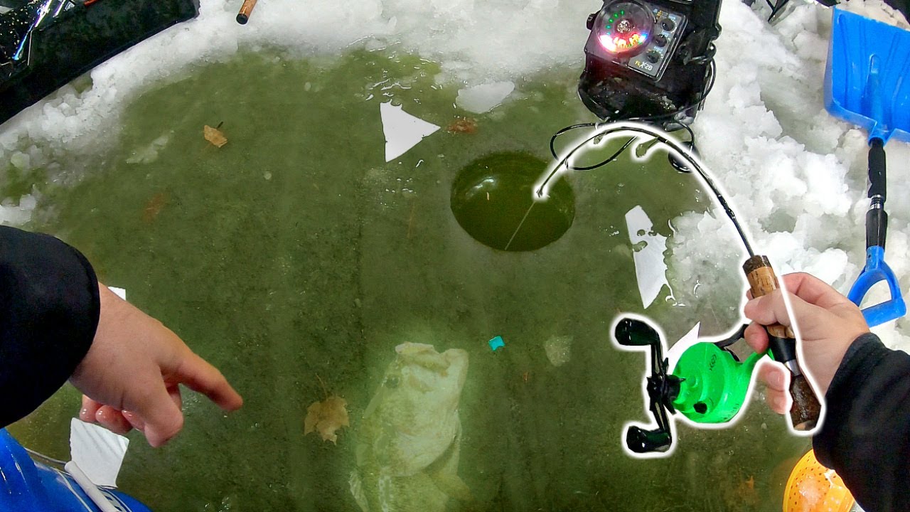 Catching big fish through ultra-clear ice in pond