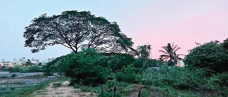 Bengaluru Metro Phase-3 depot land parcel in legal tangle