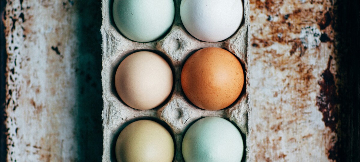 How to Freeze Eggs, Dairy Products and More