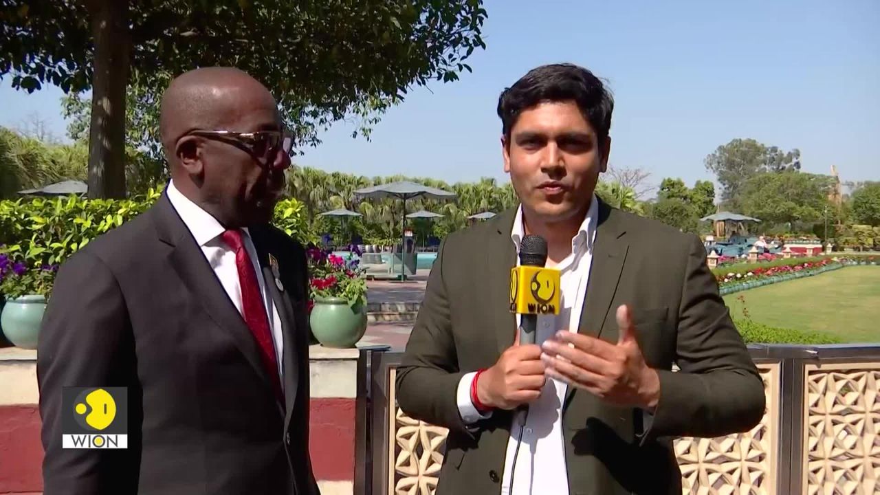 Will assist India in legal process, Antigua on Mehul Choksi case | WION ...