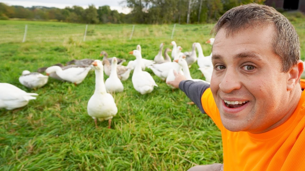 Confessing why I am the worst neighbor ever