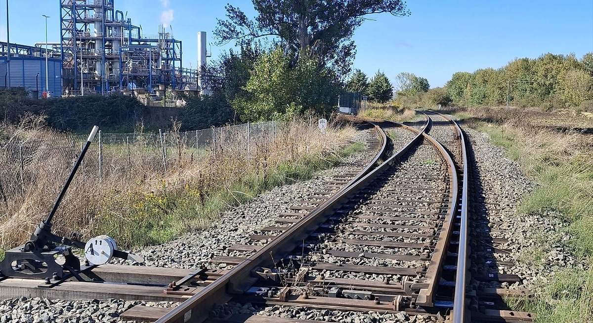 Avance fundamental en la 'Y' vasca