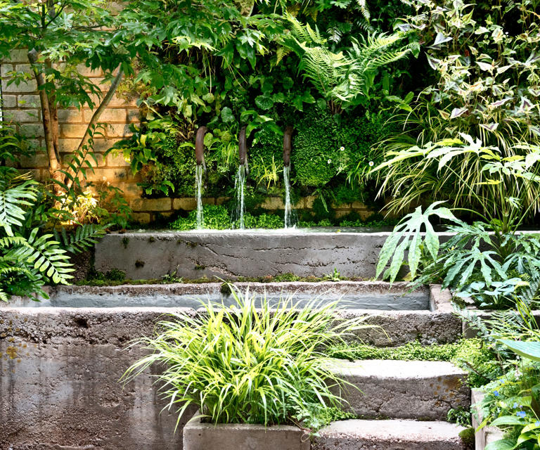 How to grow epimedium – for a pretty and low-maintenance flowering ...