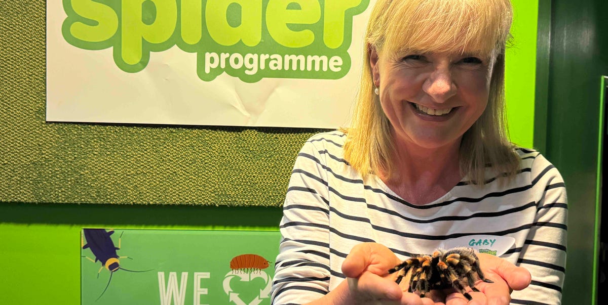 'How a 20-minute exercise banished my crippling fear of spiders'