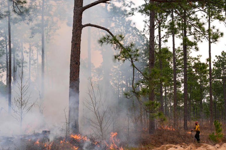 After setting record high, Augusta facing frigid temps this week