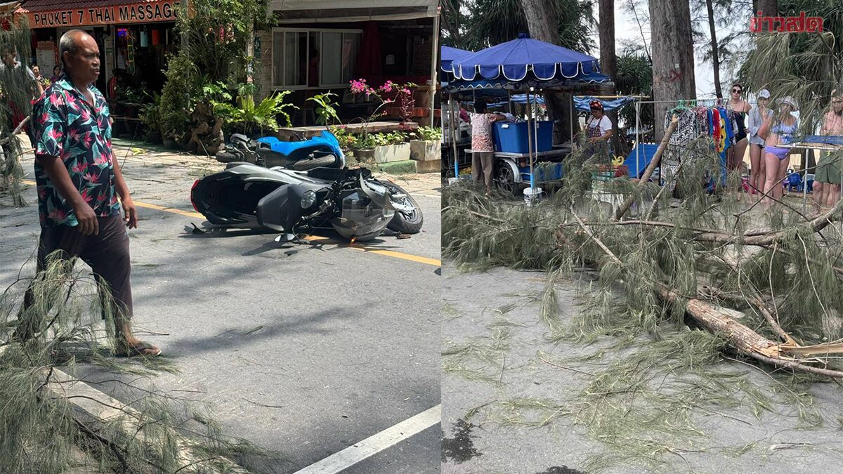 ดวงถึงฆาต นักท่องเที่ยวขี่จยย.ถนนเลียบหาดในทอน กิ่งสนหล่นมาทับดับสลด