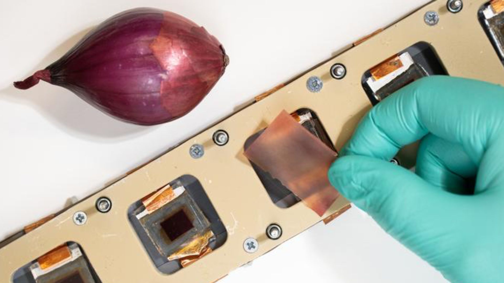 Red onion waste becomes powerful solar cell shield that blocks 99.9% of ...