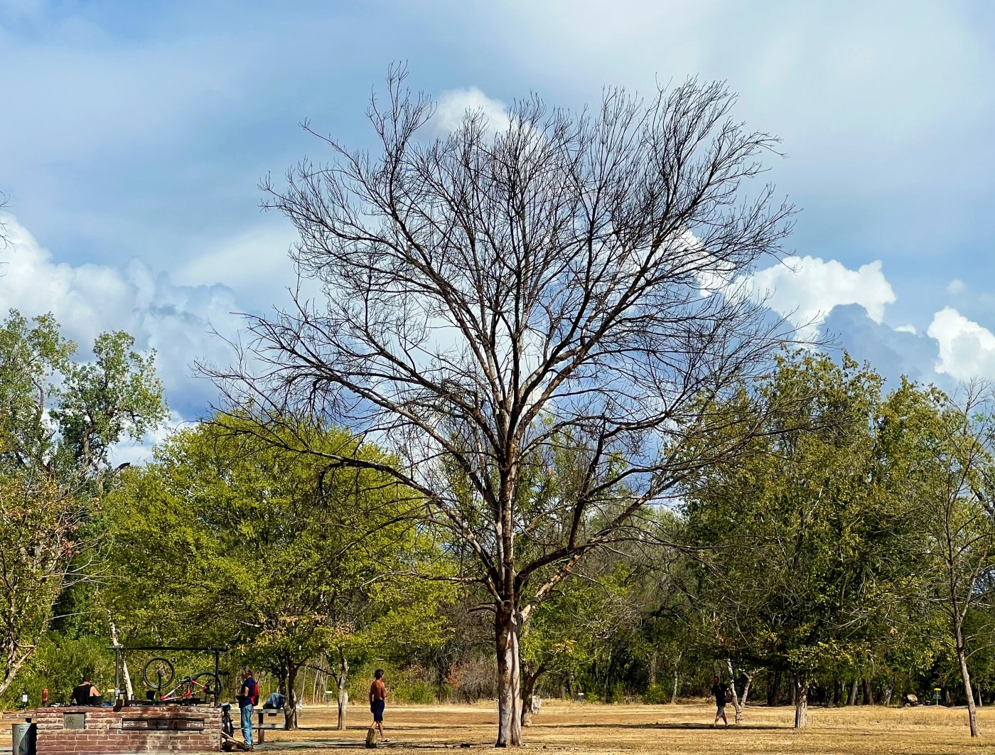 Sam Ayer Park to stop being designated homeless campsite