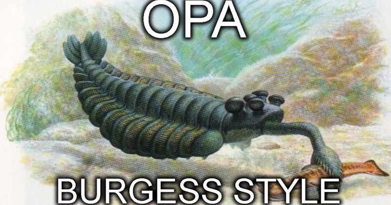 25 Memes That Make Some Sense, But Not Too Much