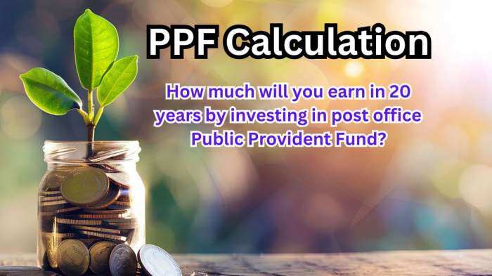 PPF Calculation: How much will you earn in 20 years by investing Rs ...
