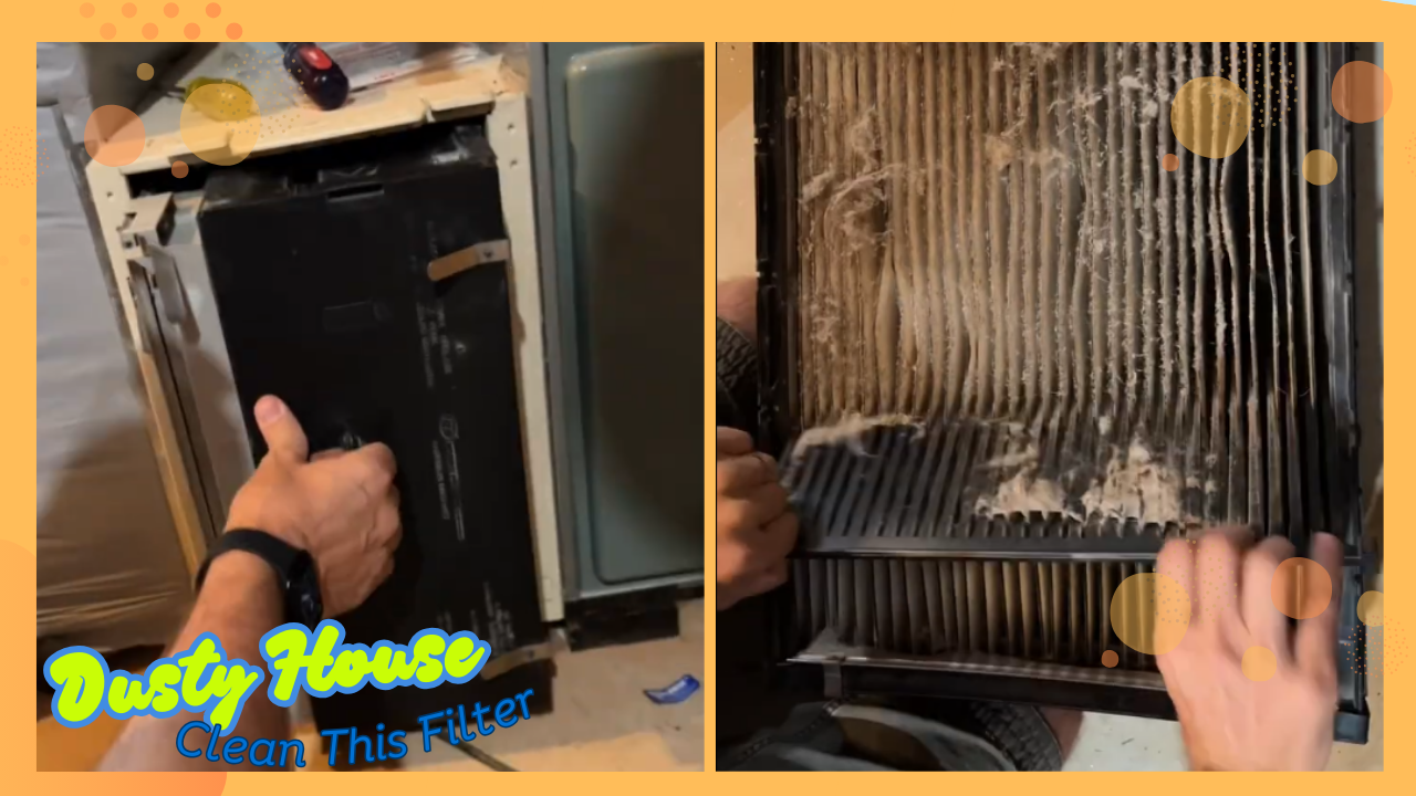 Dusty House Clean This Filter