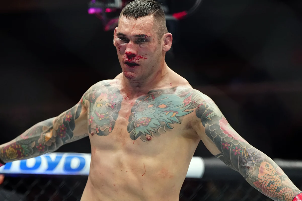 UFC: Rodolfo Bellato se enfrenta al único verdugo de Magomed Ankalaev ...