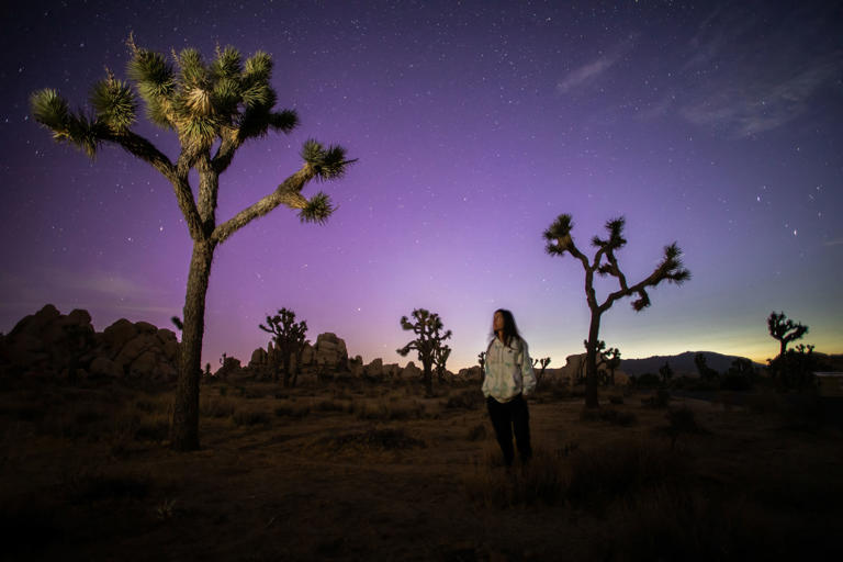 As the spring equinox arrives, a look at the season’s celestial delights