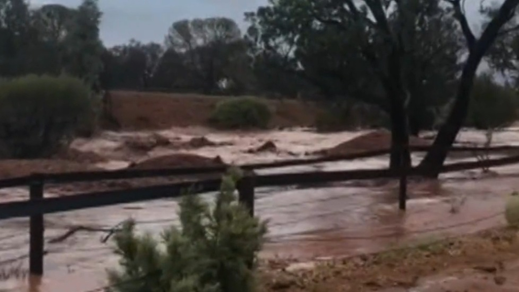 South Australia revels in the rain after months-long dry spell