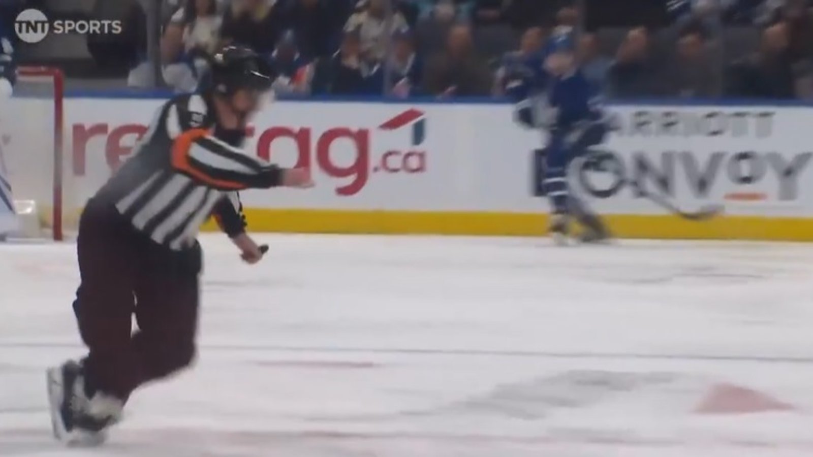 Un arbitre donne accidentellement la victoire aux Maple Leafs
