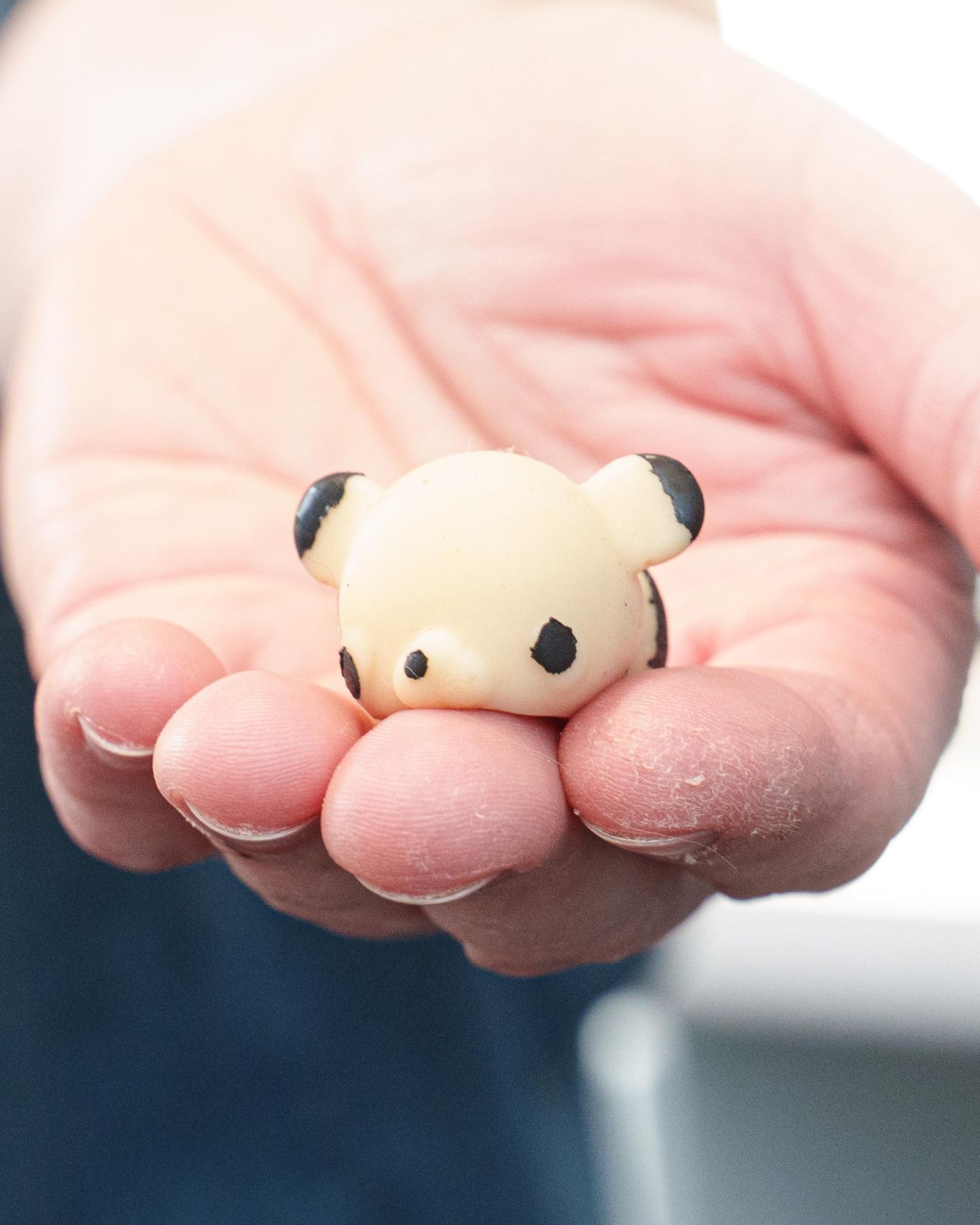 Vet practice issues Mochi toy warning after pet needs emergency surgery