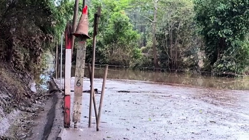 NSW farmers assessing damage after ex-tropical cyclone Alfred