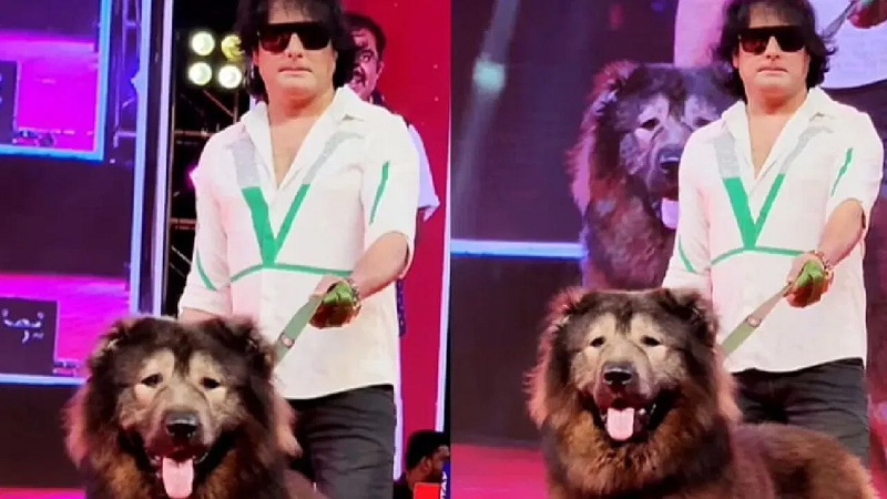 Wolf-like appearance, 75KG weight and price 50 crores… This dog lover from Bangalore bought the ...