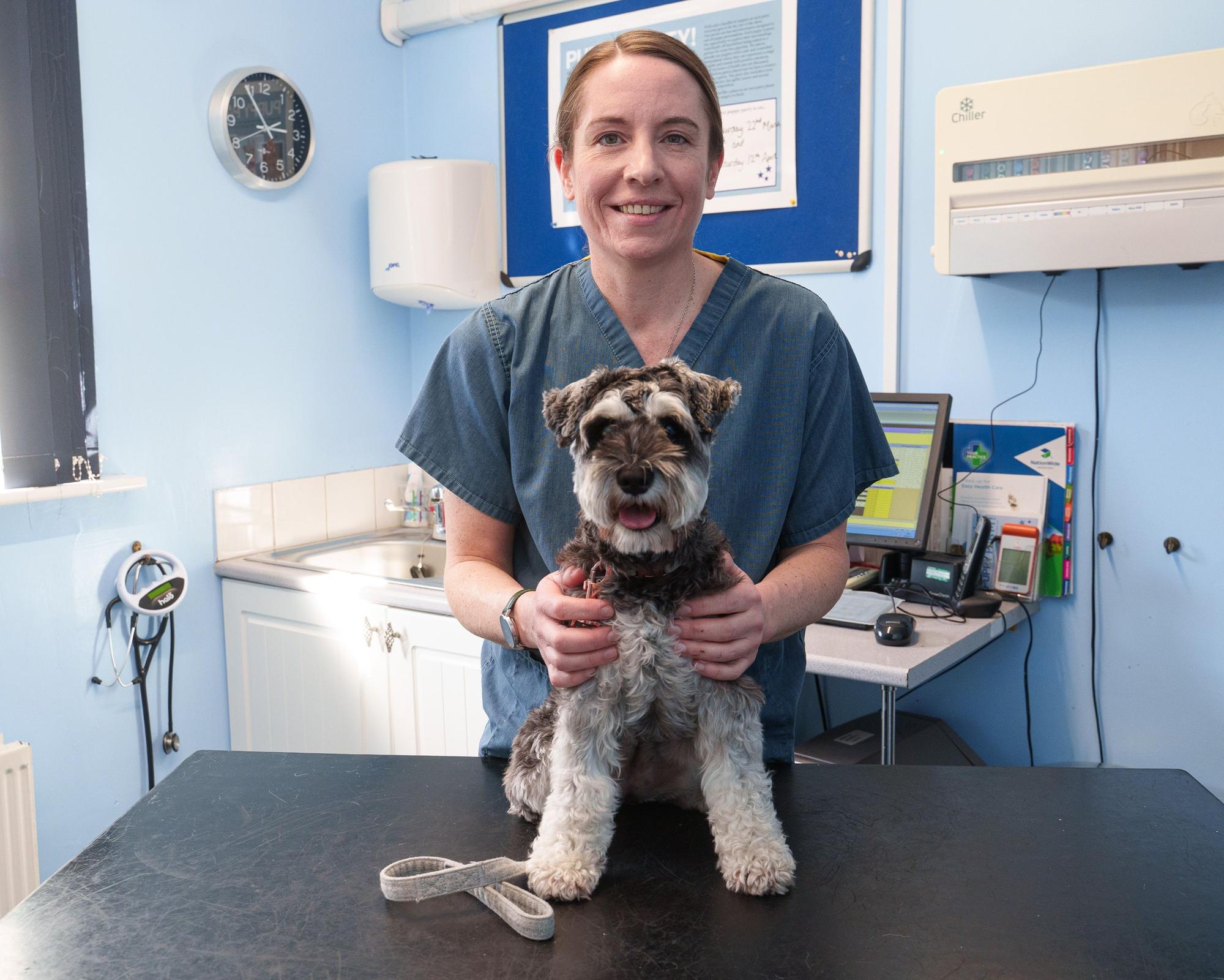 Yorkshire vet practice issues Mochi toy warning after pet needs ...
