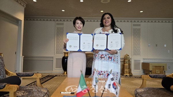 IWPG 글로벌10국, 69차 UN CSW참가… 평화 협력 확대