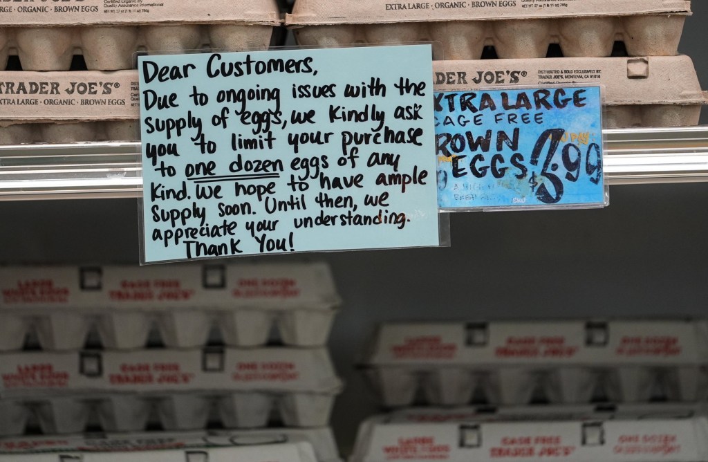 Rent-a-chicken trade is booming in US – here’s why