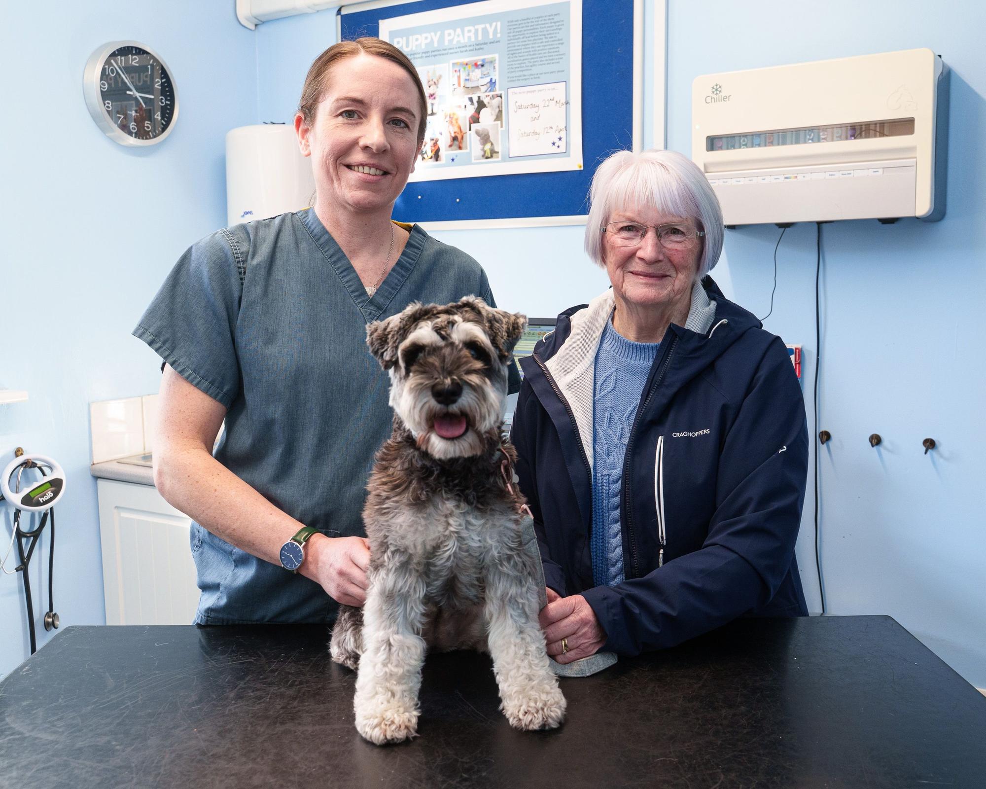 Vet practice issues Mochi toy warning after pet needs emergency surgery