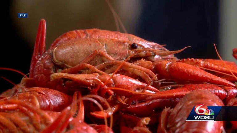 Louisiana Crawfish Festival returns for its 50th anniversary