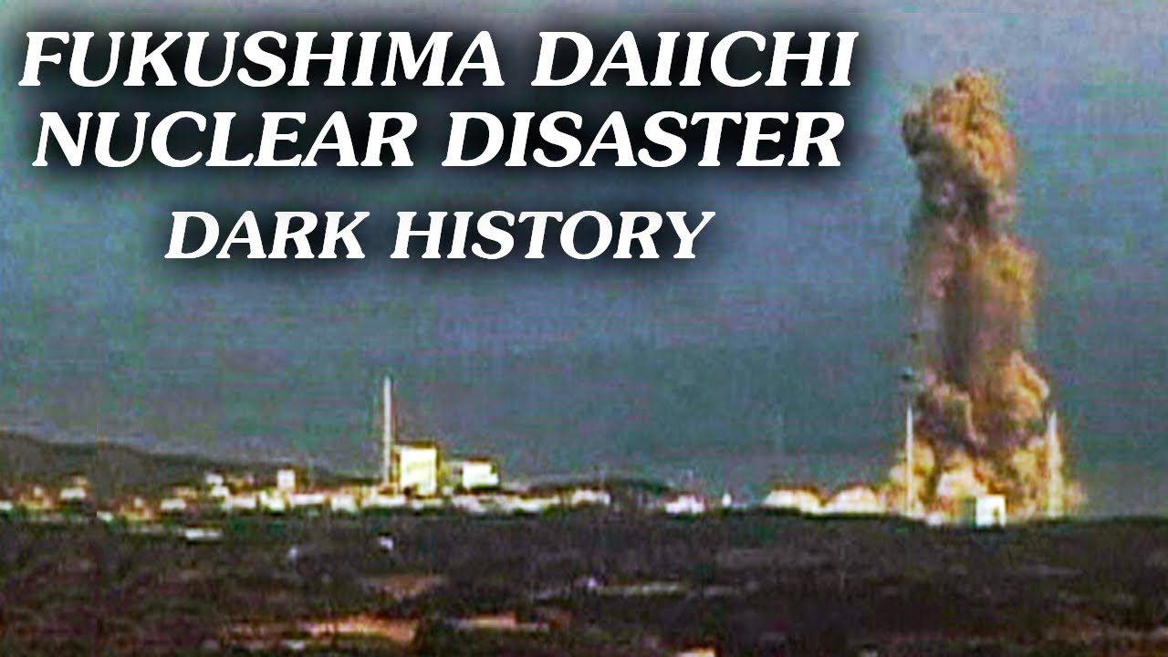 The Fukushima Nuclear Power Plant Disaster