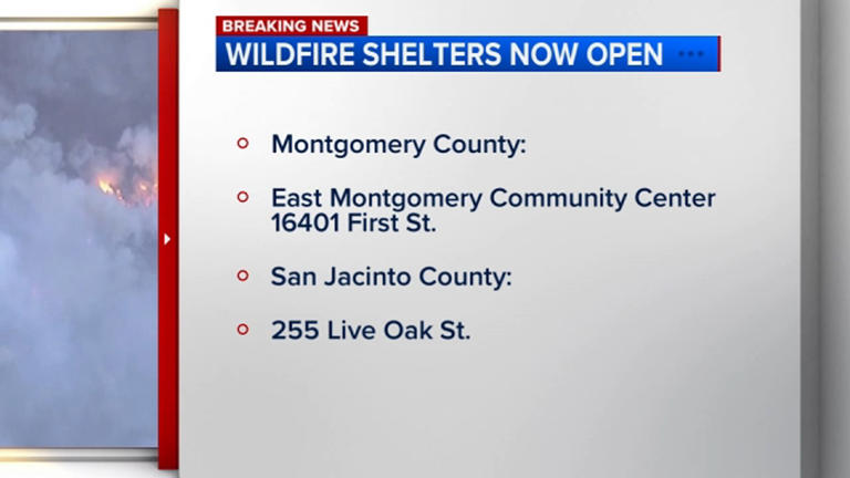 2,360-acre wildfire in Sam Houston National Forest traced back to ...