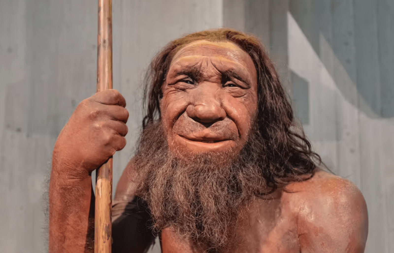 Neanderthals were smarter, stronger, and more human than previously known