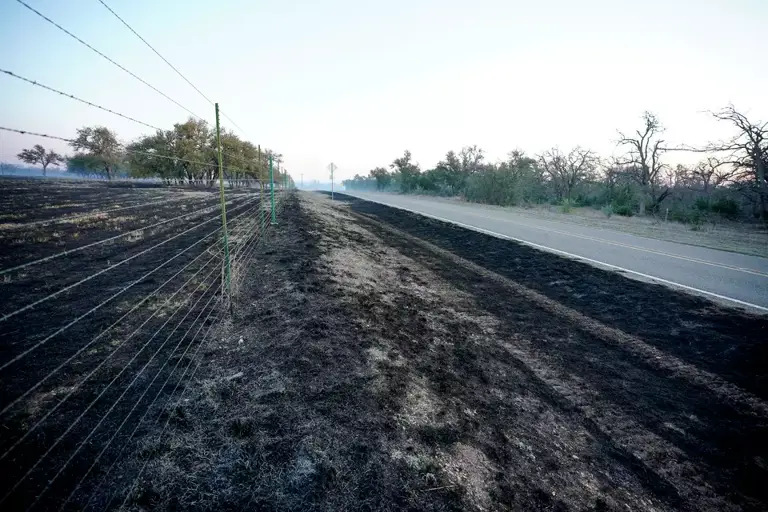Pauline Road Fire in San Jacinto County triggers evacuation orders. See ...