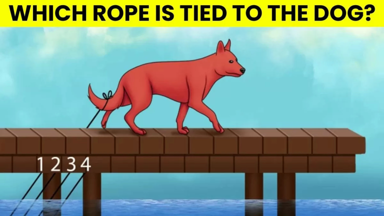 Optical Illusion: Only the smartest person can tell which rope is tied ...